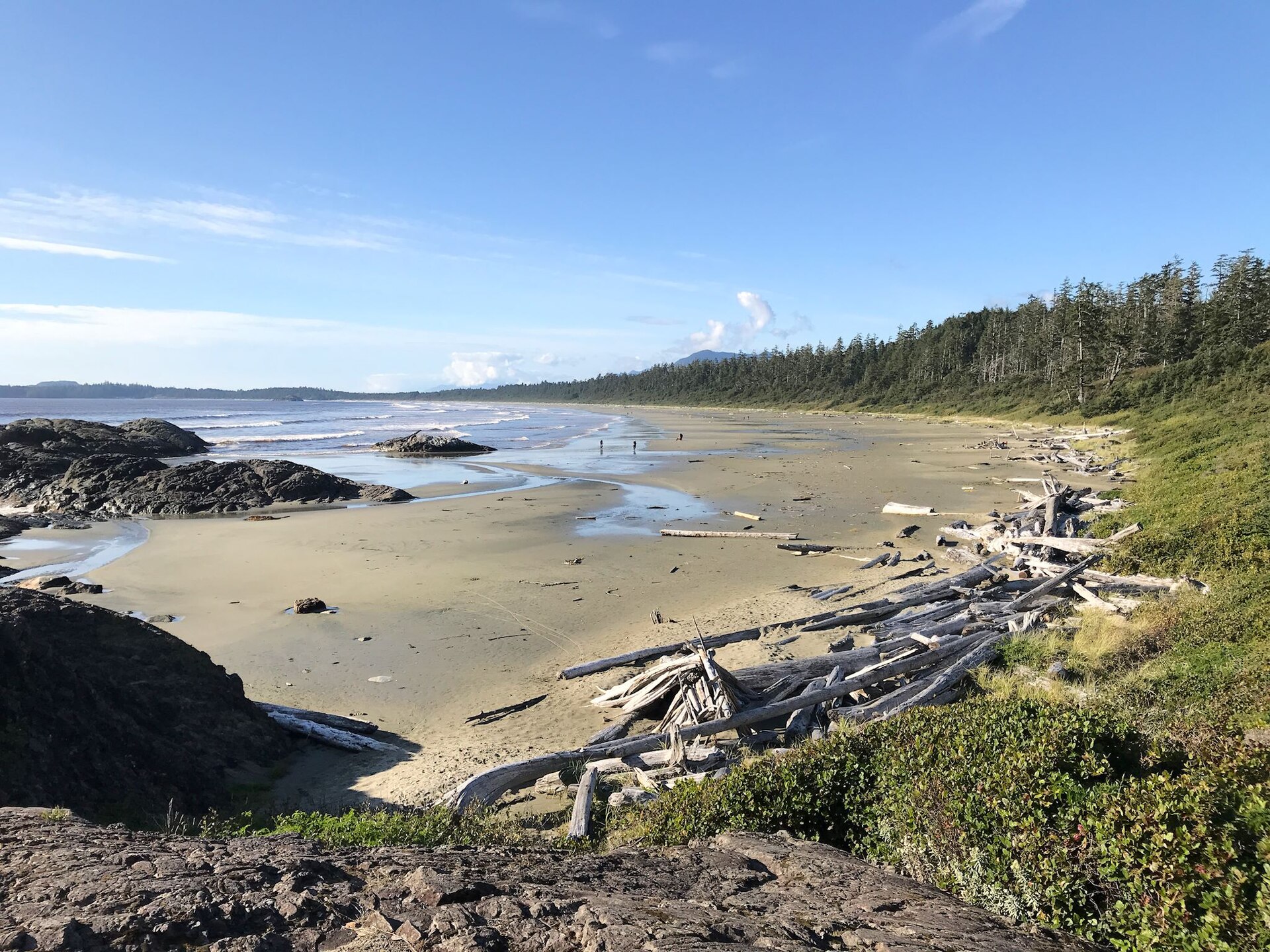 Pacific Rim National Park Reserve British Columbia Borealbase